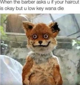 22 Haircut Memes That Can Easily Make You Laugh - SayingImages.com