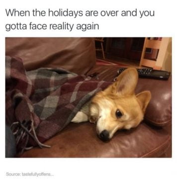 25 Back To Work Memes to Make You Feel Extra Enthusiastic ...