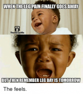 50 Hilarious After Leg Day Meme - Inspiring Pictures Quotes ...