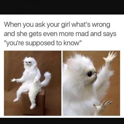 75 Funny Relationship Memes To Make Your Partner Laugh - SayingImages.com