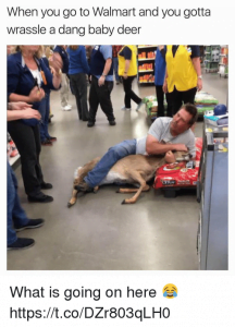 23 Funniest Walmart Memes You'll Ever See - SayingImages.com