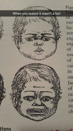 30 Poop Memes You Just Need to See Right Now - SayingImages.com