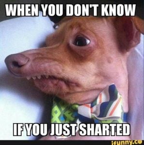 20 Hilarious Shart Memes to Make You Not Want to Fart Again ...