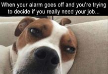 20 Funny Sales Memes That People In Sales Can Relate To | SayingImages.com