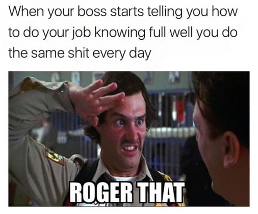 35 Funny Work Memes You'll Totally Understand - SayingImages.com