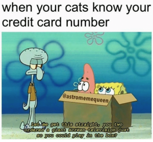 20 Funny Credit Card Memes That Will Have You Crying - SayingImages.com