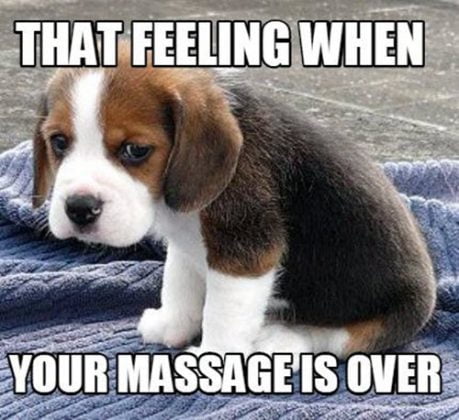 25 Massage Memes For Massage Enthusiasts - SayingImages.com