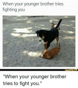 30 Funny Brother Memes To Troll Your Sibling With - SayingImages.com