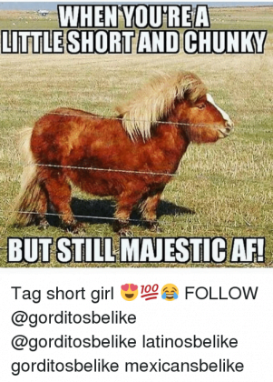 30 Memes That Short Girls Will Understand - SayingImages.com