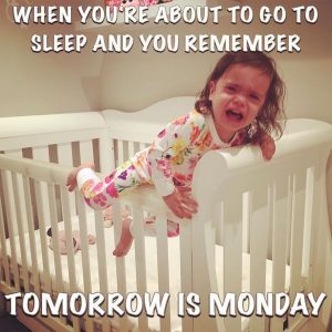 100 Funny Monday Memes To Start Your Week Right - SayingImages.com