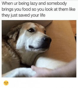 24 Lazy Memes to Make Your Day So Much Better - SayingImages.com