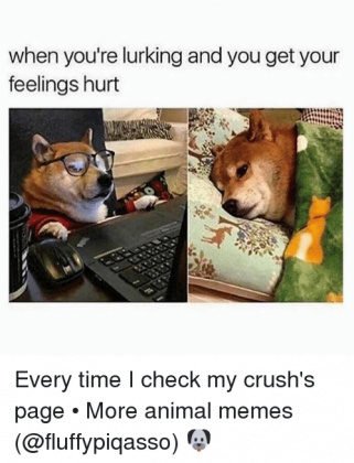20 Funny Lurking Memes That Are 100% True - SayingImages.com