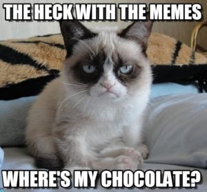 30 Sweet and Funny Chocolate Memes - SayingImages.com