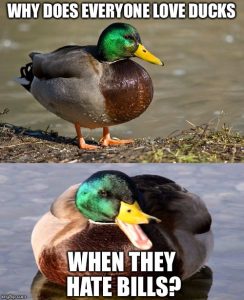 20 Totally Adorable Duck Memes You Won't Be Able To Resist ...