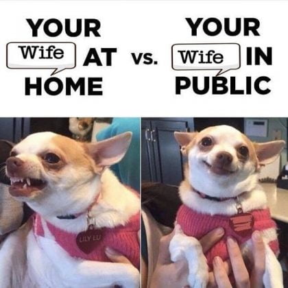 20 Funny Wife Memes That Hit Too Close To Home - SayingImages.com