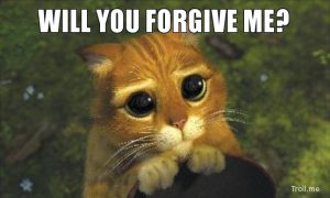 40 Adorable I'm Sorry Memes People Won't Be Able To Resist ...