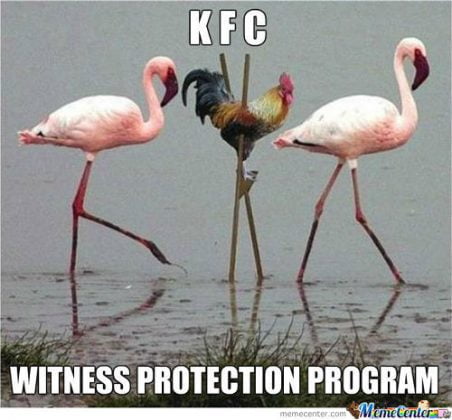 20 Chicken Memes That Are Surprisingly Funny - SayingImages.com