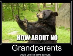 25 Heartwarming Grandparent Memes - SayingImages.com