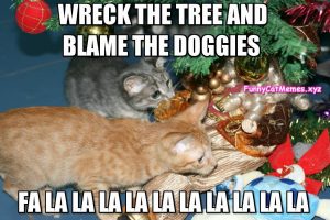 100 Funniest Merry Christmas Memes - SayingImages.com
