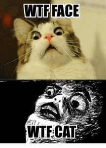 25 Incredibly Funny WTF Memes - SayingImages.com