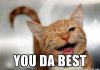 25 Coolest You Da Best Memes - SayingImages.com