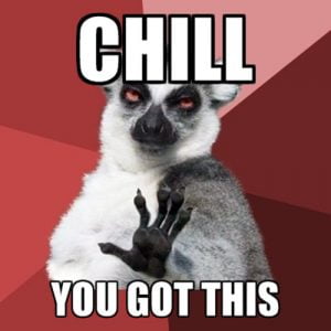 40 Best Memes To Let You Know That 'You Got This' - SayingImages.com