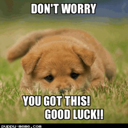 40 Best Memes To Let You Know That 'You Got This' - SayingImages.com