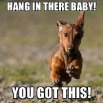 20 Hang In There Meme To Motivate You - SayingImages.com