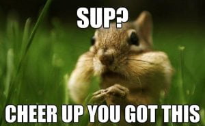 40 Best Memes To Let You Know That 'You Got This' - SayingImages.com