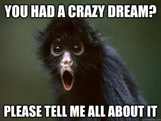 25 Funny Monkey Memes You'll Totally Fall In Love With - SayingImages.com
