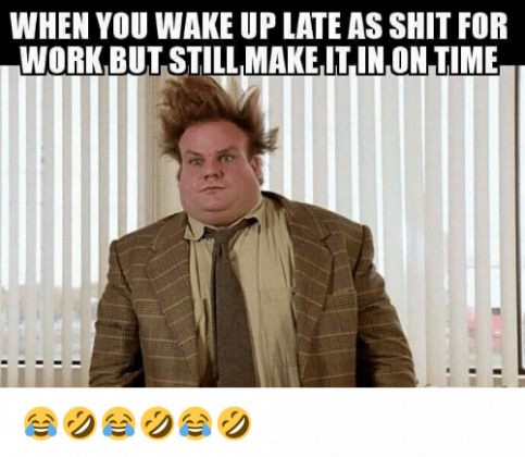 20 Wake Up Memes to Turn Your Day Around - SayingImages.com