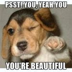 20 Beautiful Memes To Share Today - SayingImages.com