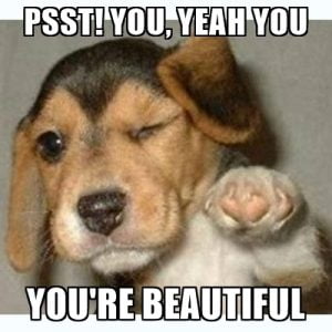 20 Beautiful Memes To Share Today - SayingImages.com