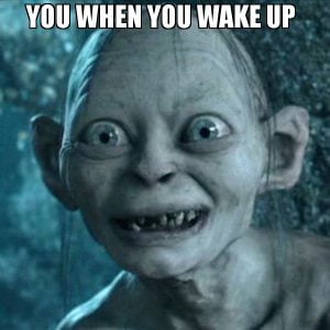 20 Wake Up Memes to Turn Your Day Around - SayingImages.com