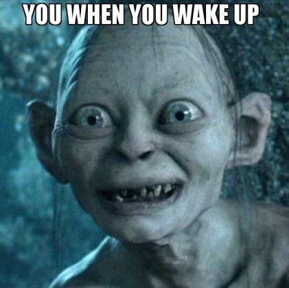 20 Wake Up Memes to Turn Your Day Around - SayingImages.com