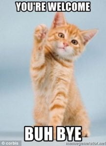 25 You're Welcome Memes You Can Totally Use Today - SayingImages.com