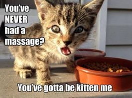 25 Massage Memes For Massage Enthusiasts - SayingImages.com